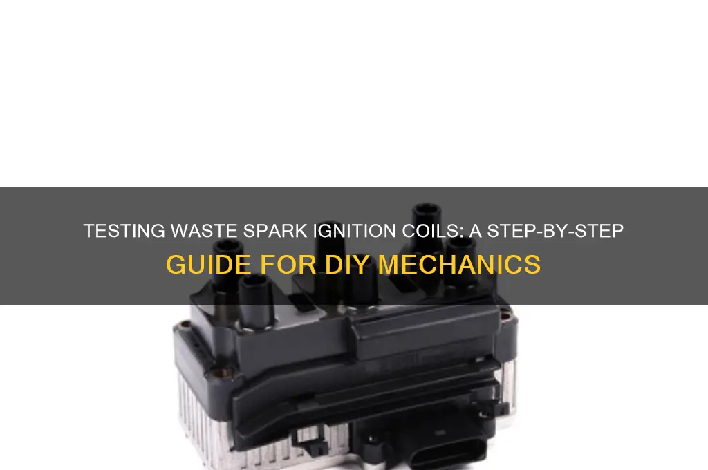 Testing Waste Spark Ignition Coils: A Step-By-Step Guide For Diy ...
