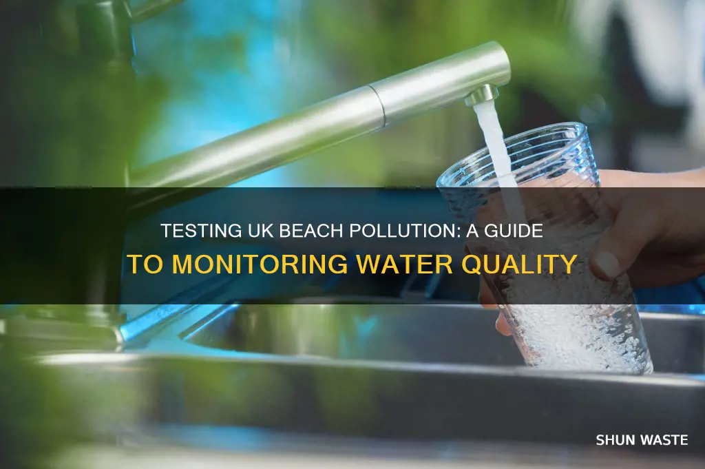 Testing Uk Beach Pollution: A Guide To Monitoring Water Quality | ShunWaste