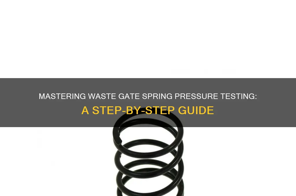 Mastering Waste Gate Spring Pressure Testing: A Step-By-Step Guide ...