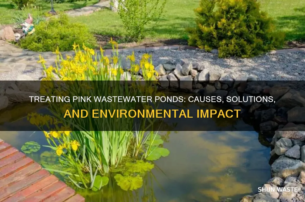 Treating Pink Wastewater Ponds: Causes, Solutions, And Environmental ...