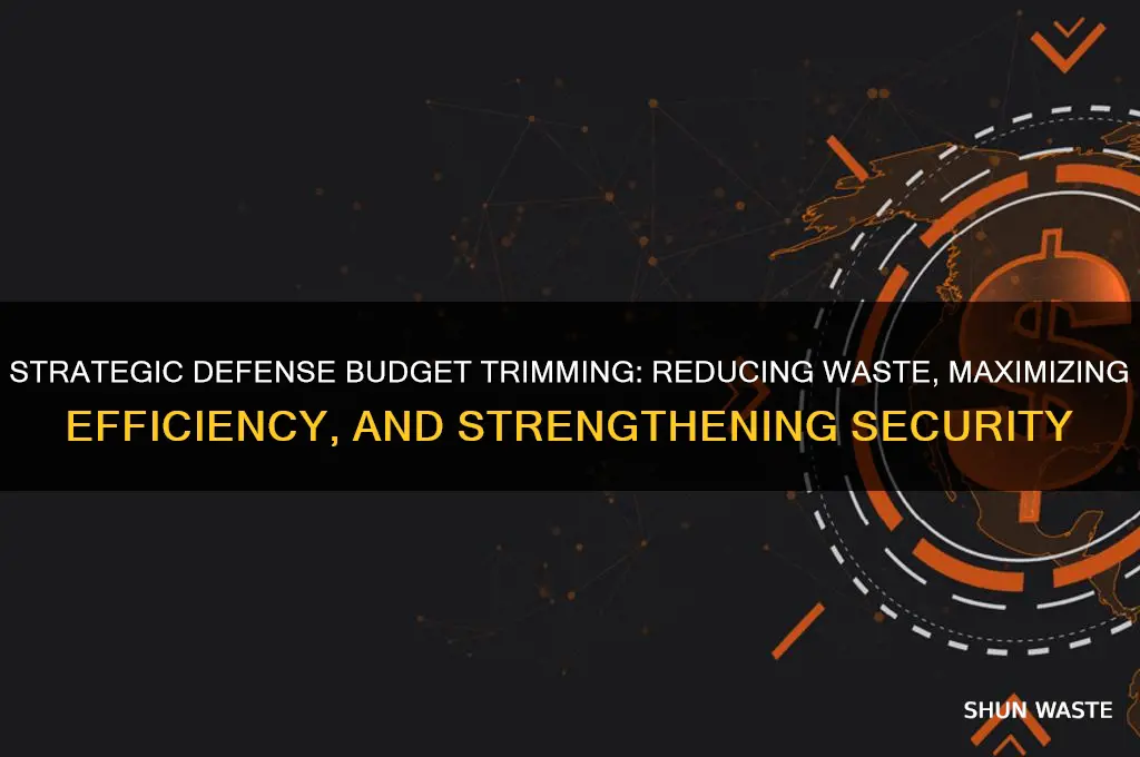 Strategic Defense Budget Trimming: Reducing Waste, Maximizing ...
