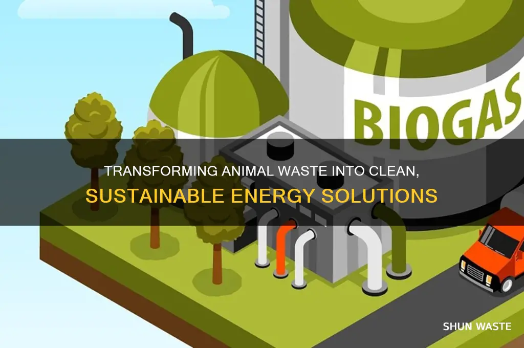 Transforming Animal Waste Into Clean, Sustainable Energy Solutions ...