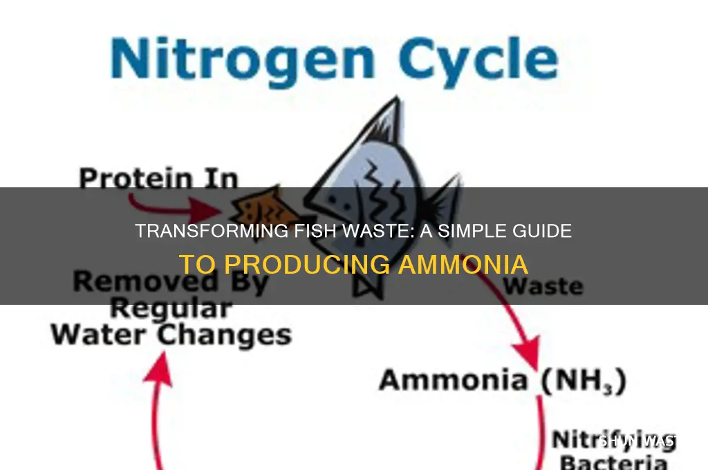 Transforming Fish Waste: A Simple Guide To Producing Ammonia | ShunWaste