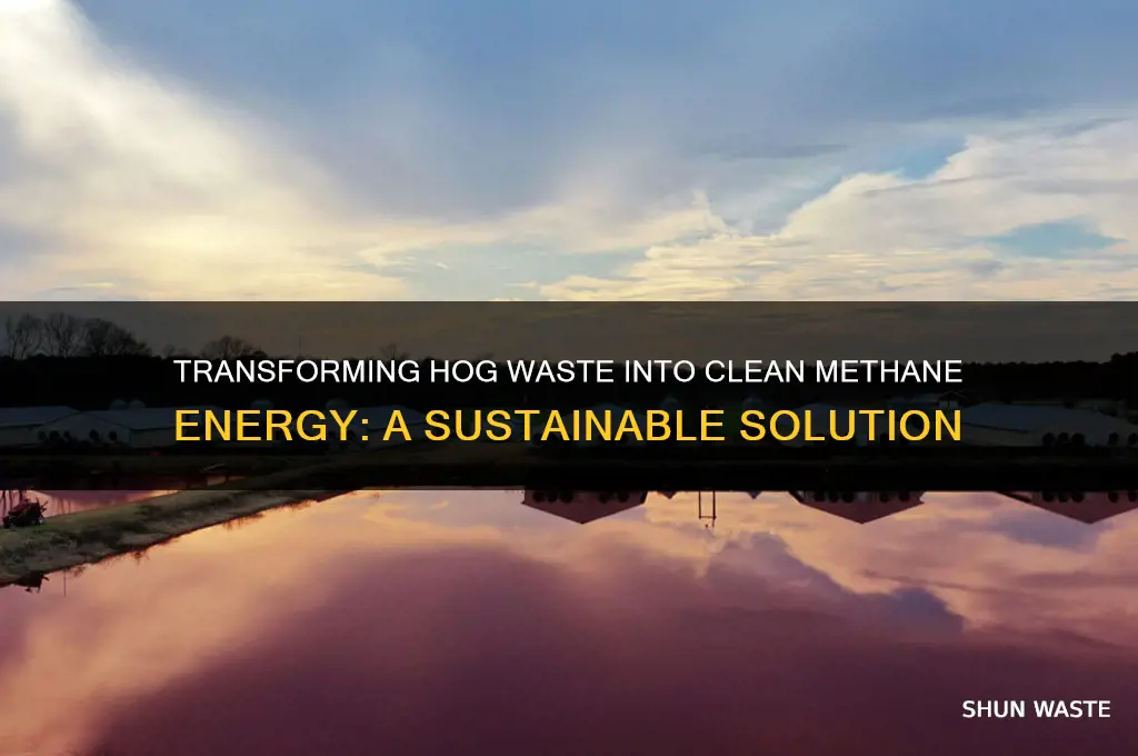 Transforming Hog Waste Into Clean Methane Energy: A Sustainable ...