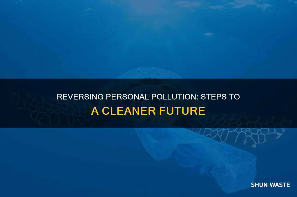 Reversing Personal Pollution: Steps To A Cleaner Future | ShunWaste