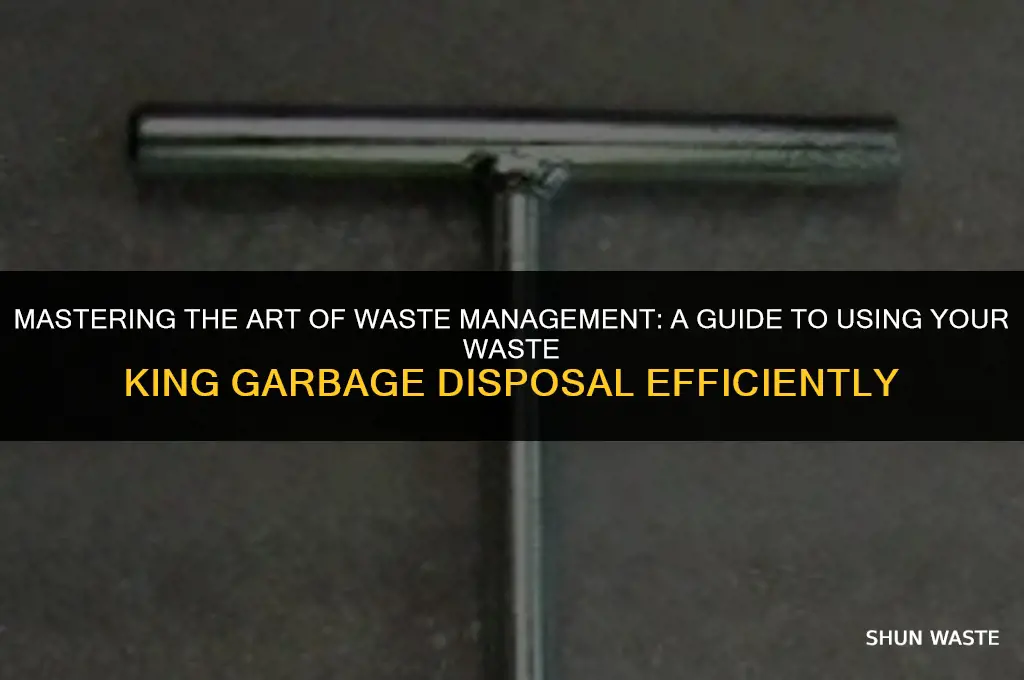 Mastering The Art Of Waste Management: A Guide To Using Your Waste King ...