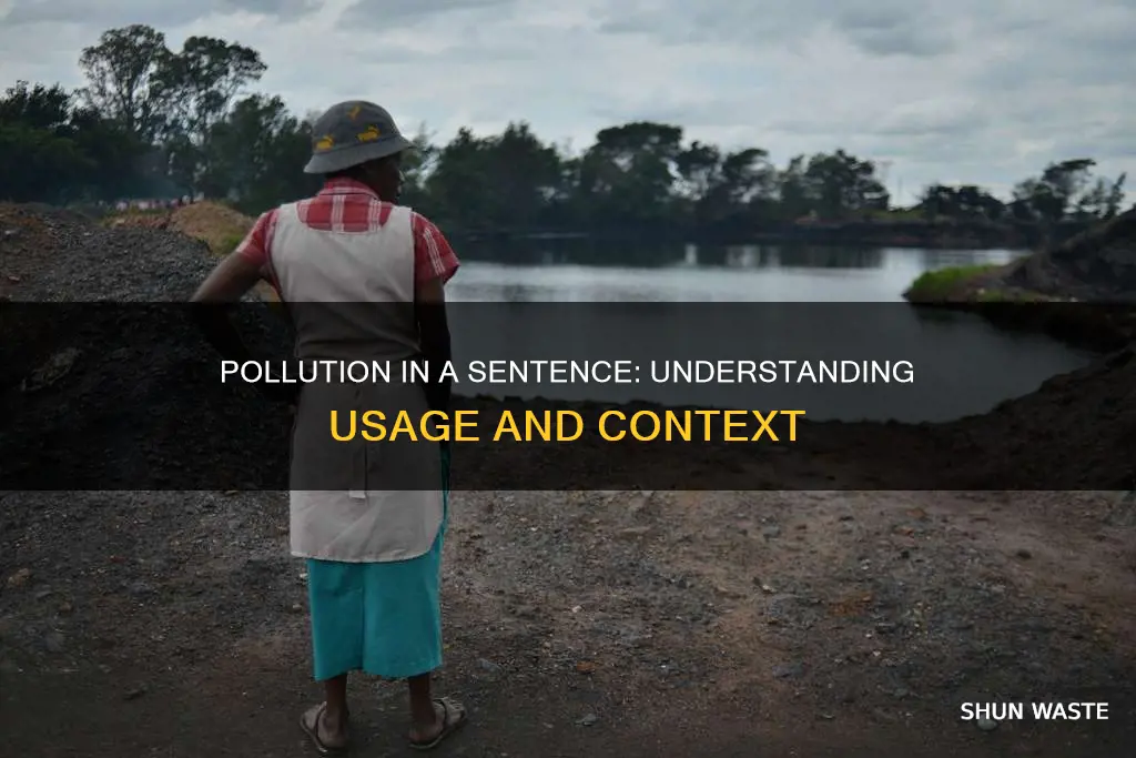 Pollution In A Sentence: Understanding Usage And Context | ShunWaste