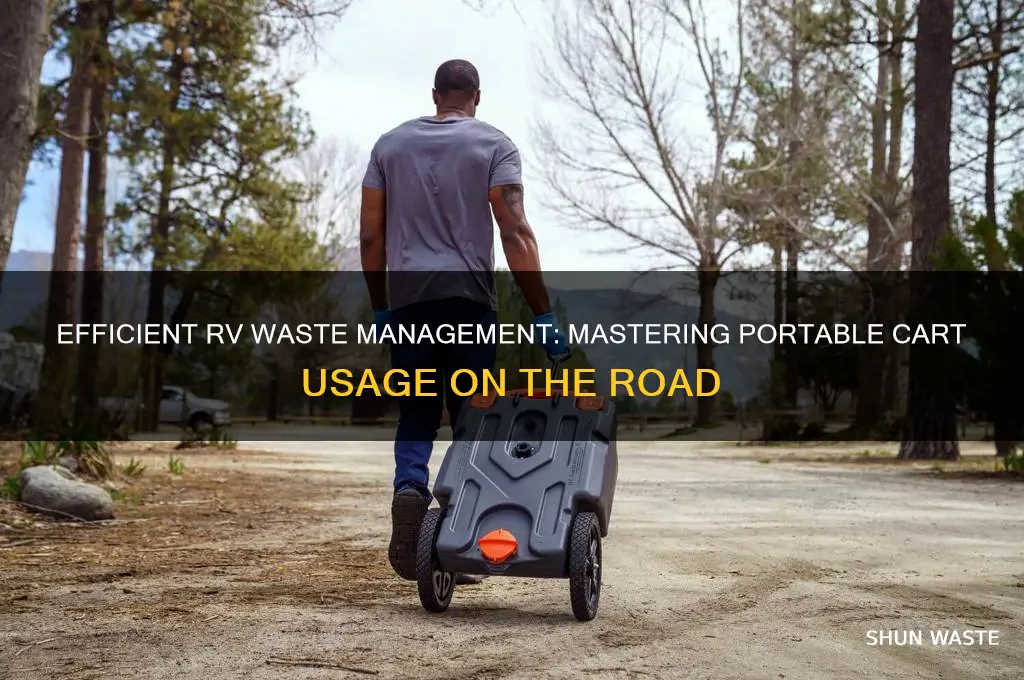 Efficient Rv Waste Management: Mastering Portable Cart Usage On The ...