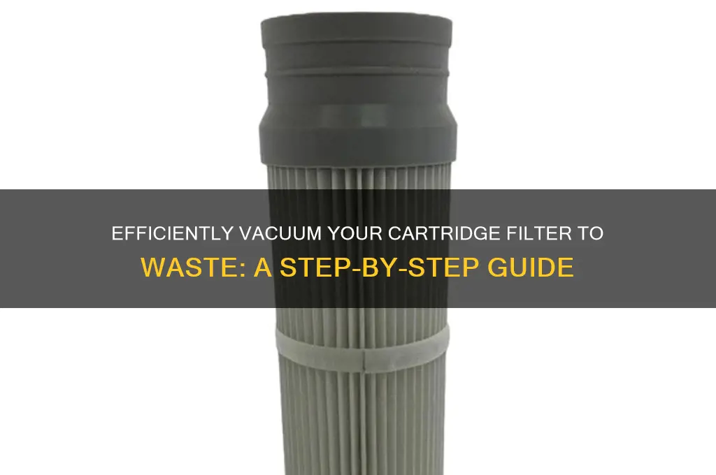 Efficiently Vacuum Your Cartridge Filter To Waste: A Step-By-Step Guide ...