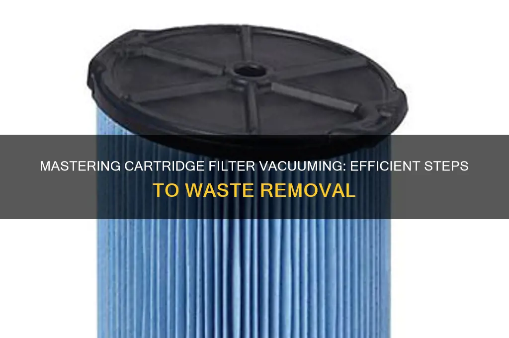 Mastering Cartridge Filter Vacuuming: Efficient Steps To Waste Removal ...