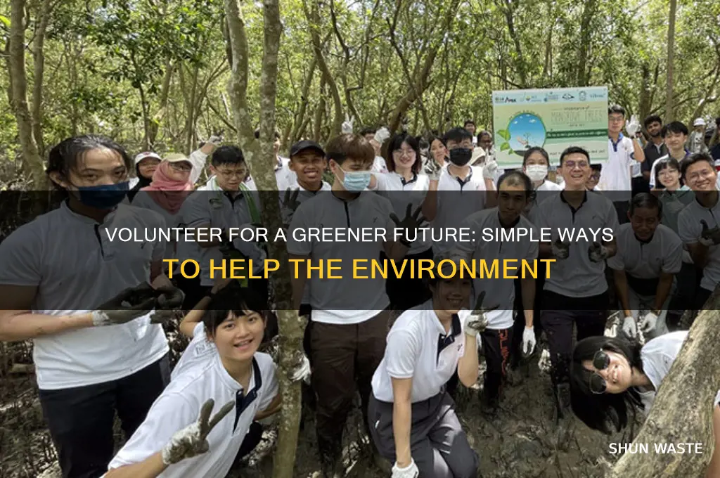 Volunteer For A Greener Future: Simple Ways To Help The Environment ...