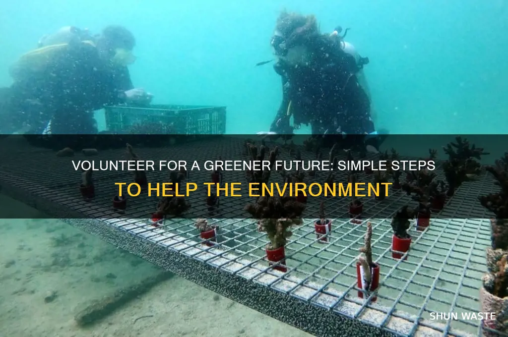 Volunteer For A Greener Future: Simple Steps To Help The Environment ...