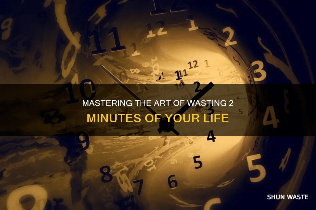 Mastering The Art Of Wasting 2 Minutes Of Your Life | ShunWaste