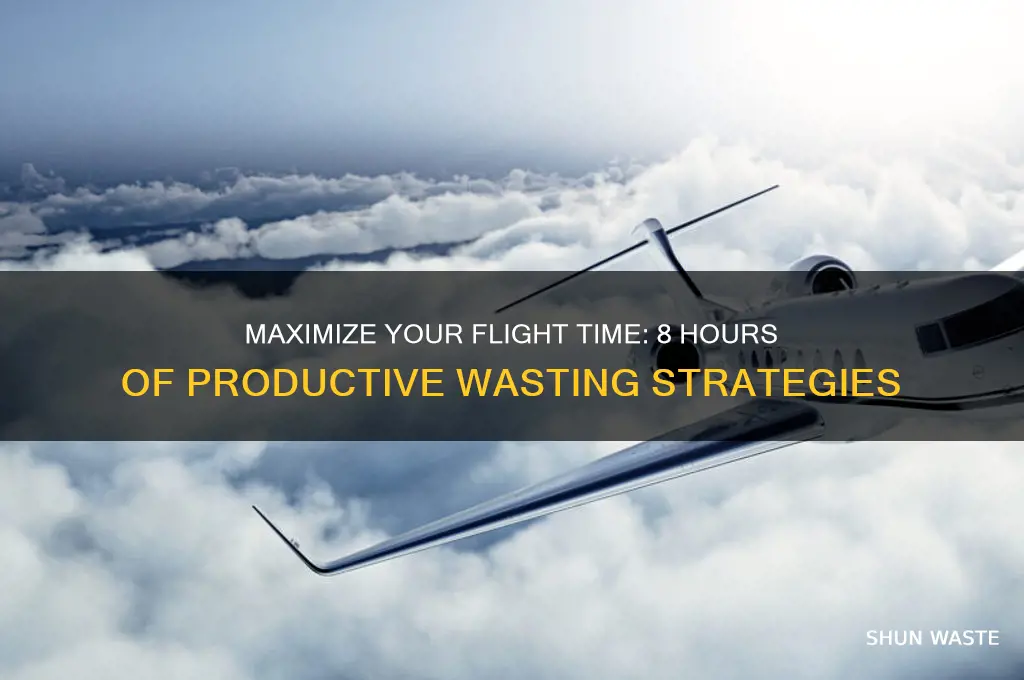 Maximize Your Flight Time: 8 Hours Of Productive Wasting Strategies ...