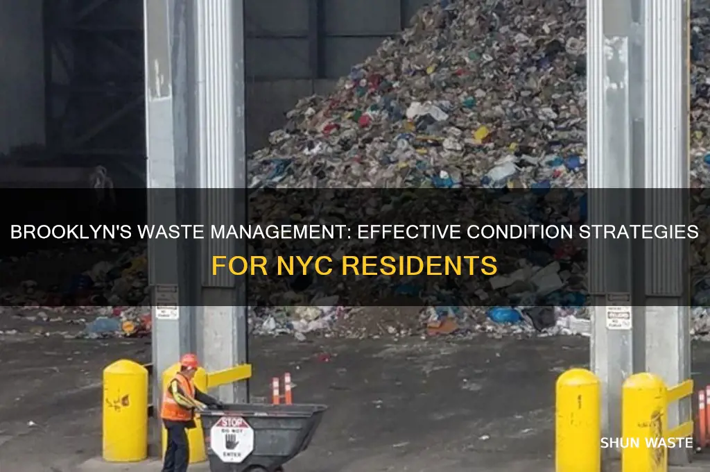 Brooklyn's Waste Management: Effective Condition Strategies For Nyc ...