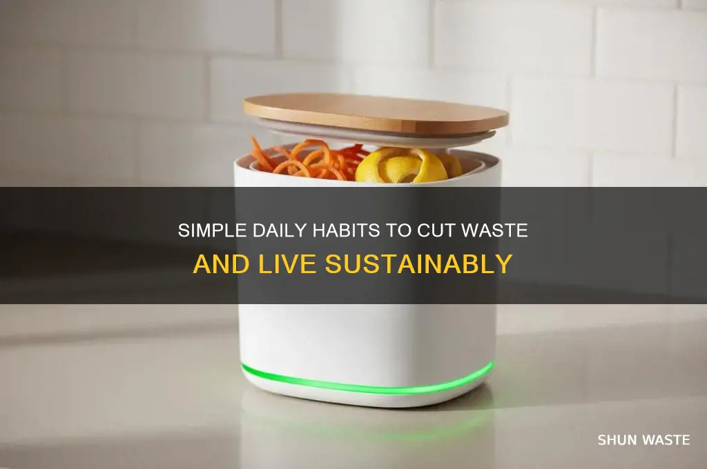 Simple Daily Habits To Cut Waste And Live Sustainably | ShunWaste