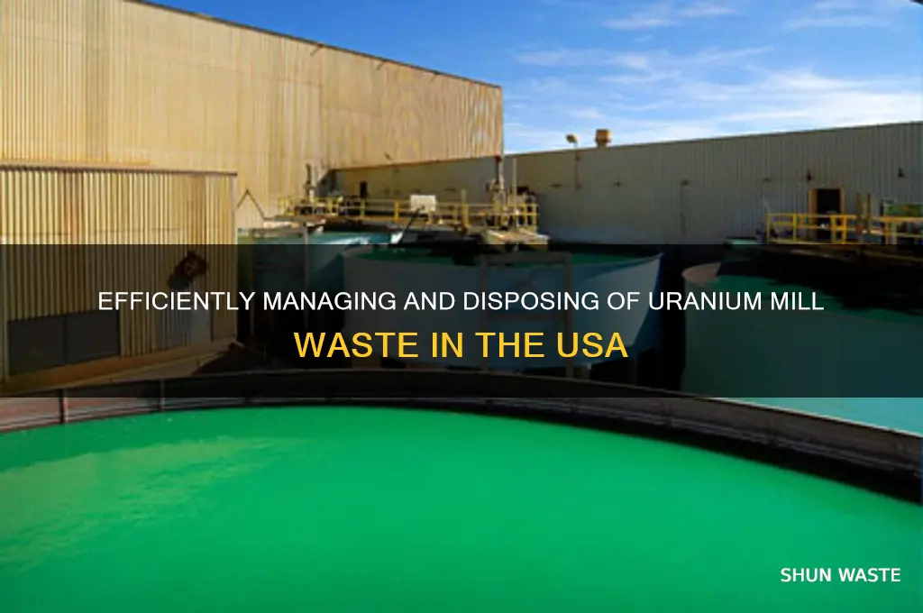 Efficiently Managing And Disposing Of Uranium Mill Waste In The Usa ...