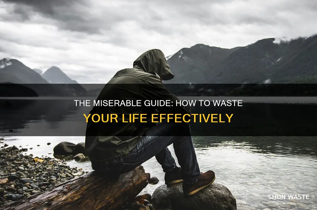 The Miserable Guide: How To Waste Your Life Effectively | ShunWaste