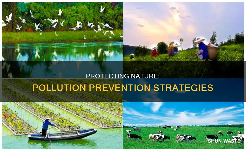 Protecting Nature: Pollution Prevention Strategies | ShunWaste