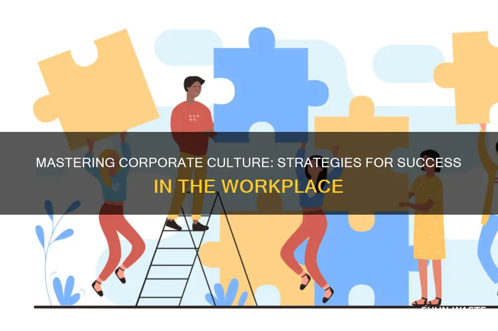 Mastering Corporate Culture: Strategies For Success In The Workplace ...