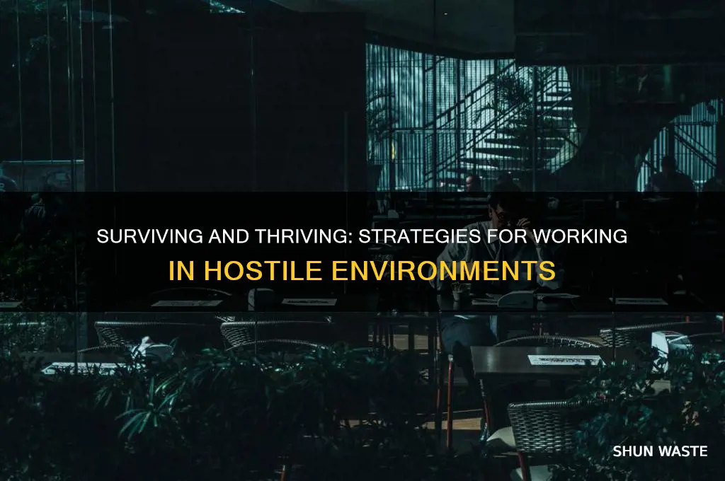 Surviving And Thriving: Strategies For Working In Hostile Environments ...