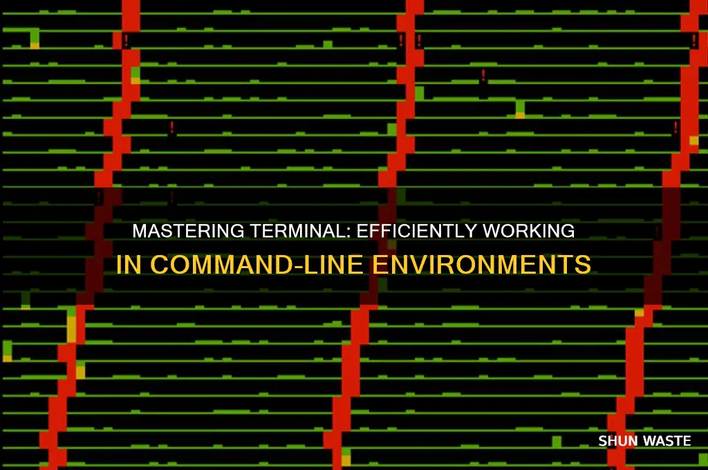 Mastering Terminal: Efficiently Working In Command-Line Environments ...