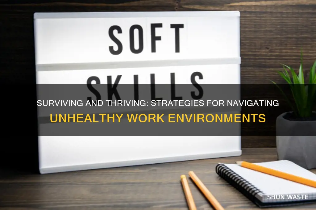 Surviving And Thriving: Strategies For Navigating Unhealthy Work ...