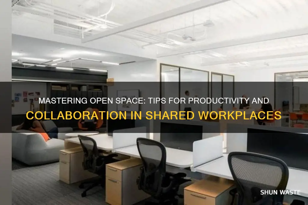 Mastering Open Space: Tips For Productivity And Collaboration In Shared ...