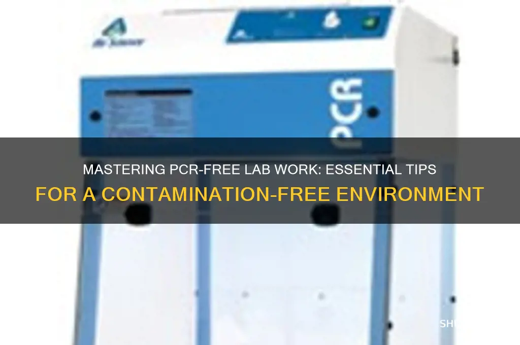 Mastering Pcr-Free Lab Work: Essential Tips For A Contamination-Free ...