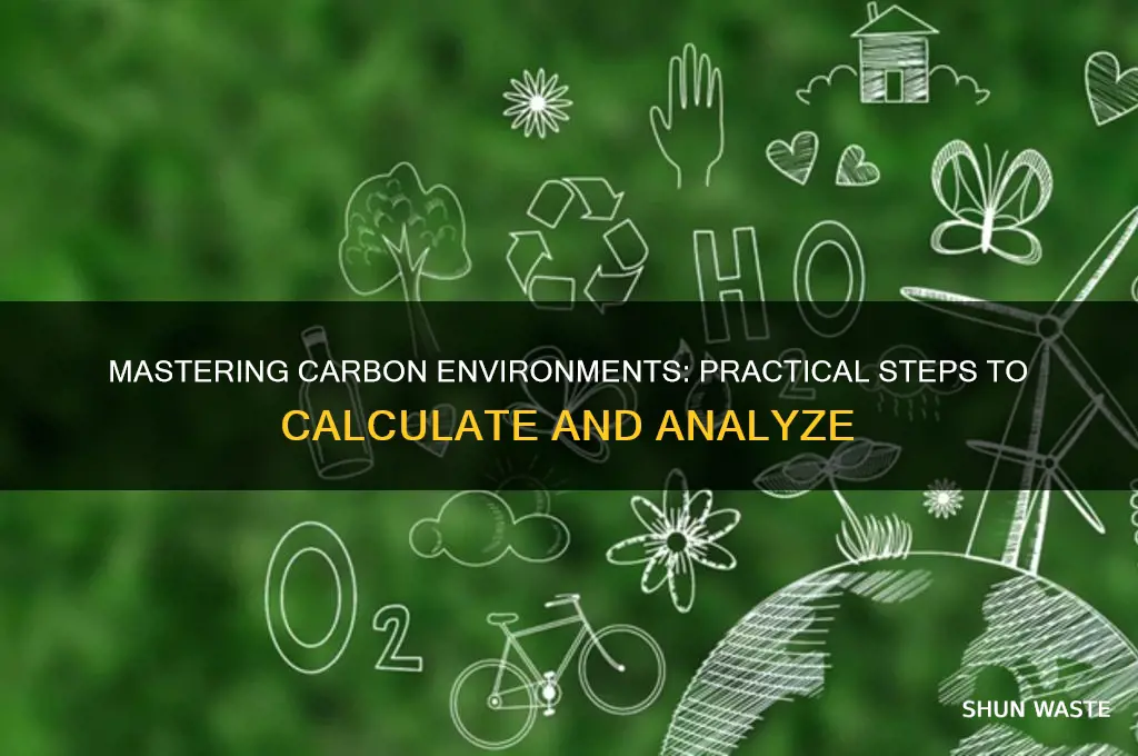 Mastering Carbon Environments: Practical Steps To Calculate And Analyze ...