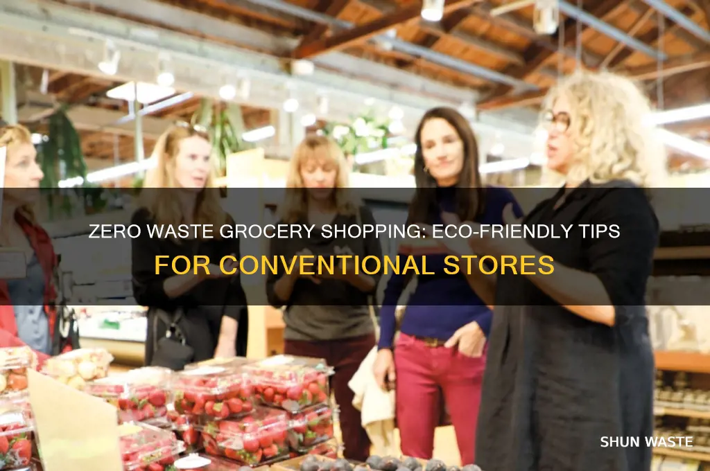 Zero Waste Grocery Shopping: Eco-Friendly Tips For Conventional Stores ...