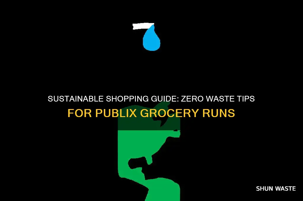 Sustainable Shopping Guide: Zero Waste Tips For Publix Grocery Runs ...