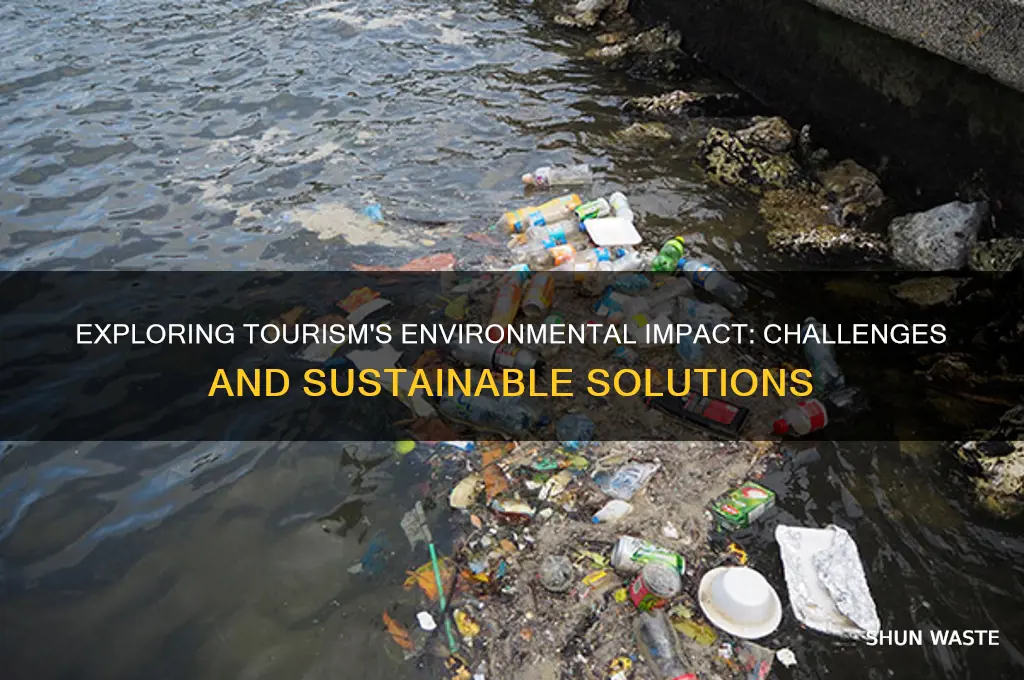 Exploring Tourism's Environmental Impact: Challenges And Sustainable ...