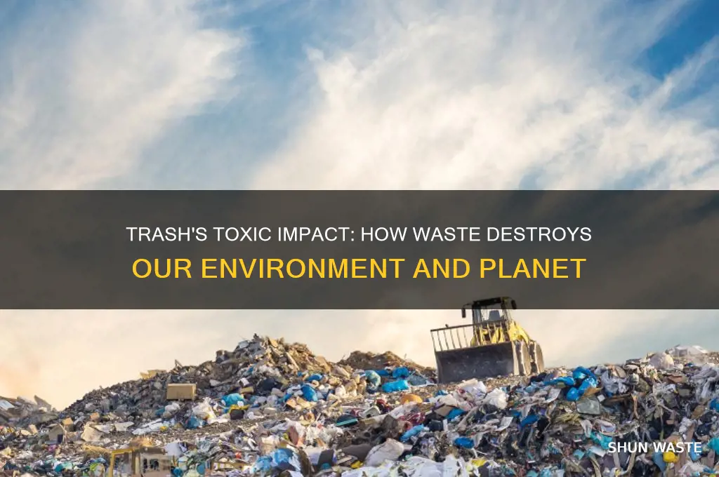 Trash's Toxic Impact: How Waste Destroys Our Environment And Planet ...