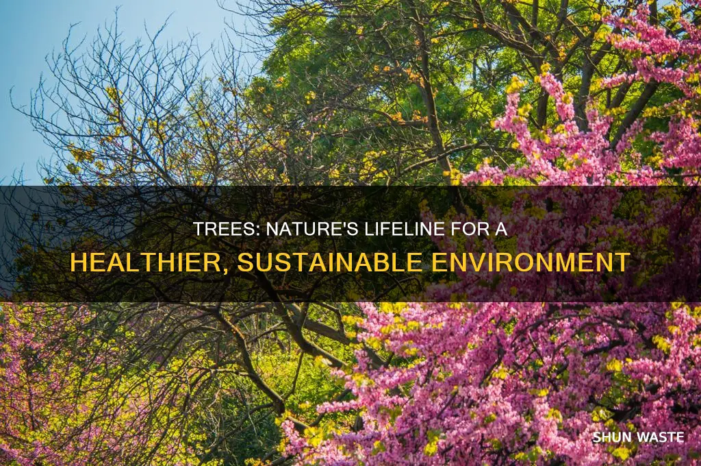 Trees: Nature's Lifeline For A Healthier, Sustainable Environment ...
