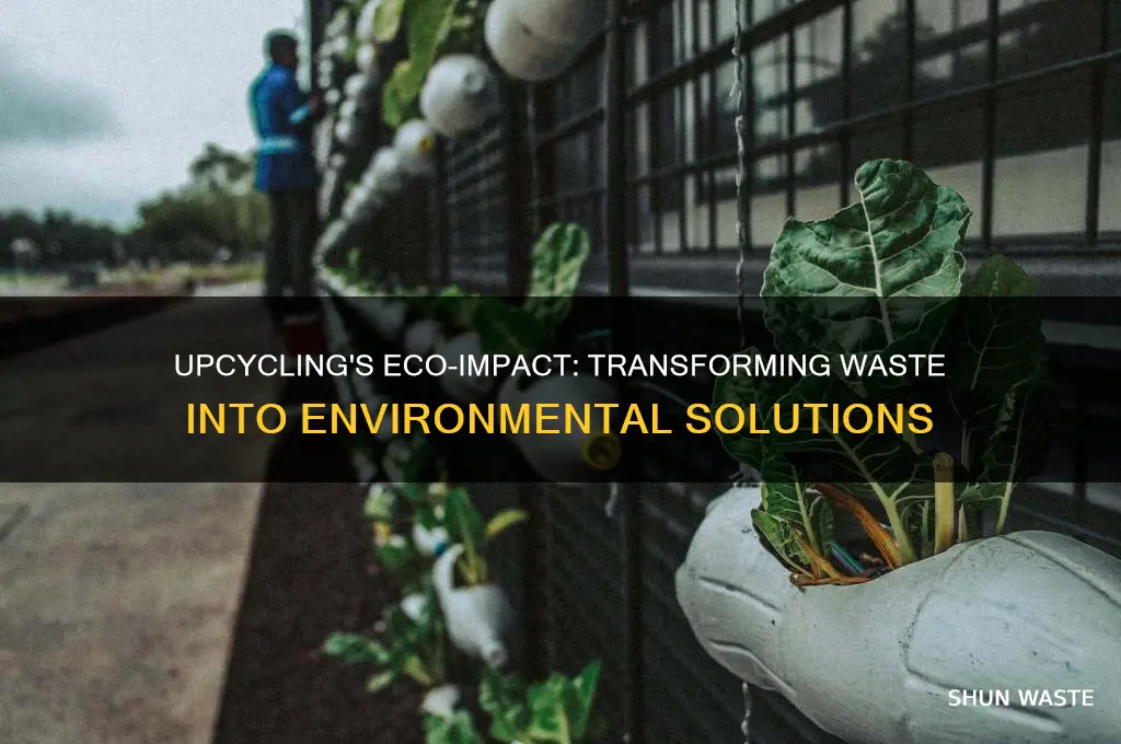 Upcycling's Eco-Impact: Transforming Waste Into Environmental Solutions ...