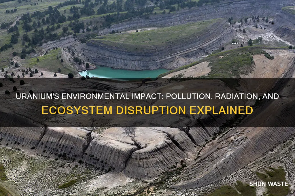 Uranium's Environmental Impact: Pollution, Radiation, And Ecosystem ...