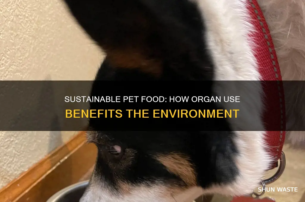 Sustainable Pet Food: How Organ Use Benefits The Environment | ShunWaste
