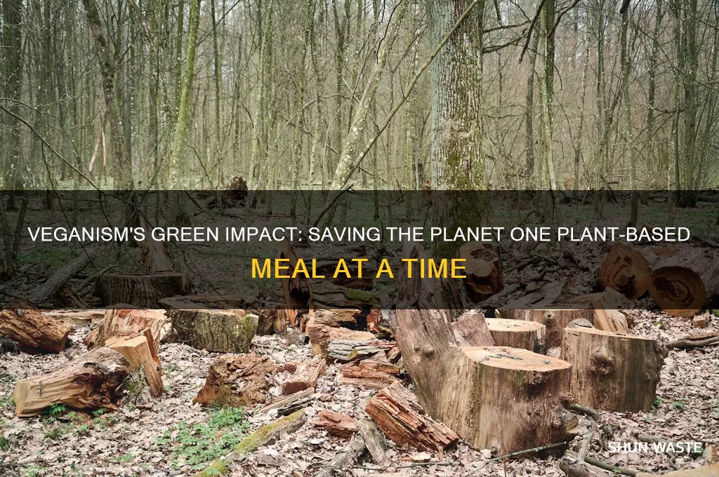 Veganism's Green Impact: Saving The Planet One Plant-Based Meal At A ...