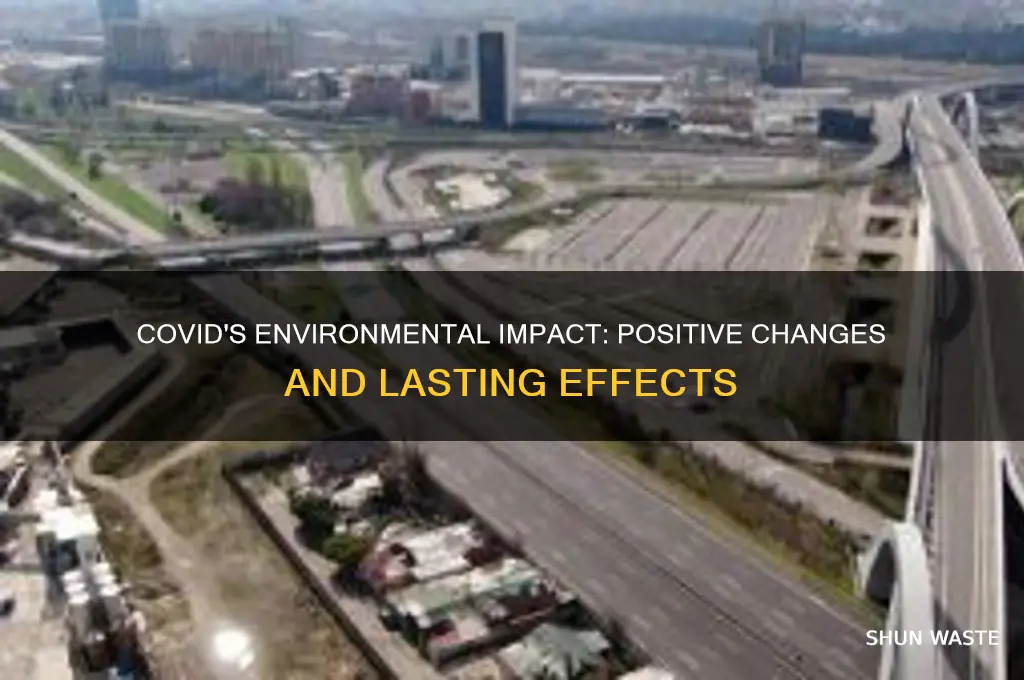 Covid's Environmental Impact: Positive Changes And Lasting Effects ...