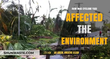 Volcanic Eruptions: Impacts On Humans, Wildlife, And Ecosystems ...