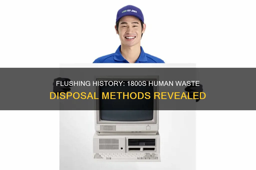 Flushing History: 1800S Human Waste Disposal Methods Revealed | ShunWaste
