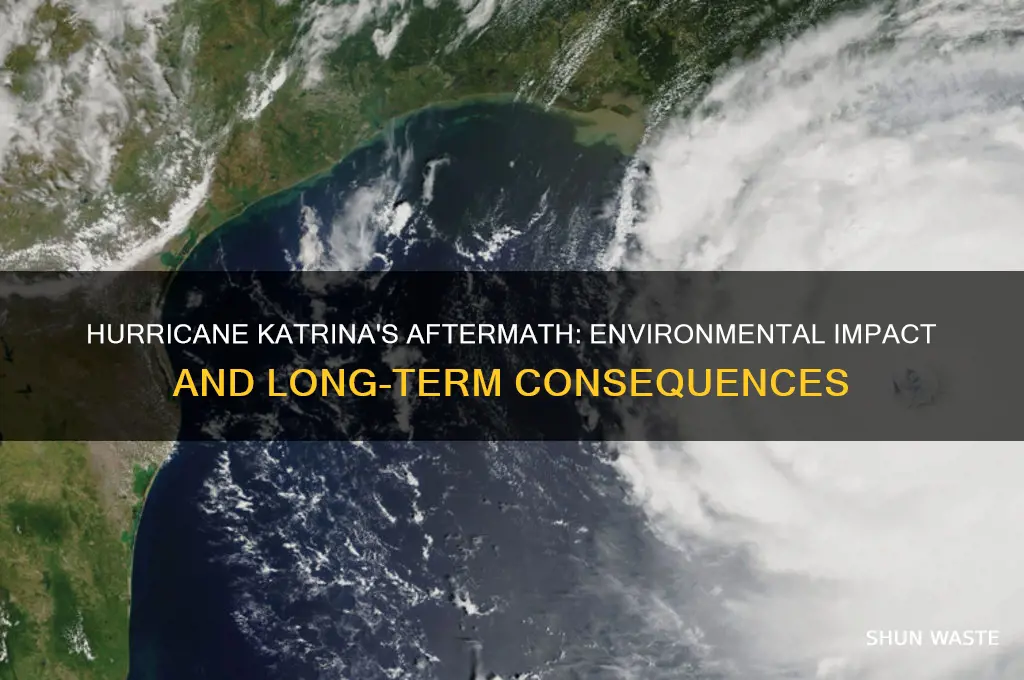 Hurricane Katrina's Aftermath: Environmental Impact And Long-Term ...
