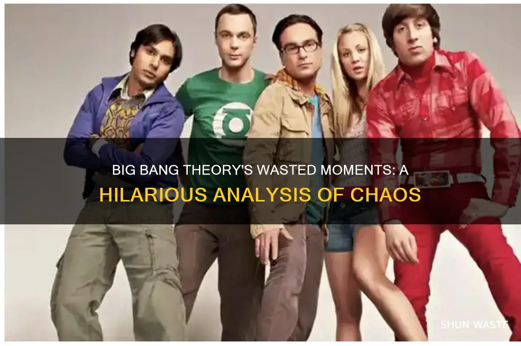 Big Bang Theory's Wasted Moments: A Hilarious Analysis Of Chaos | ShunWaste