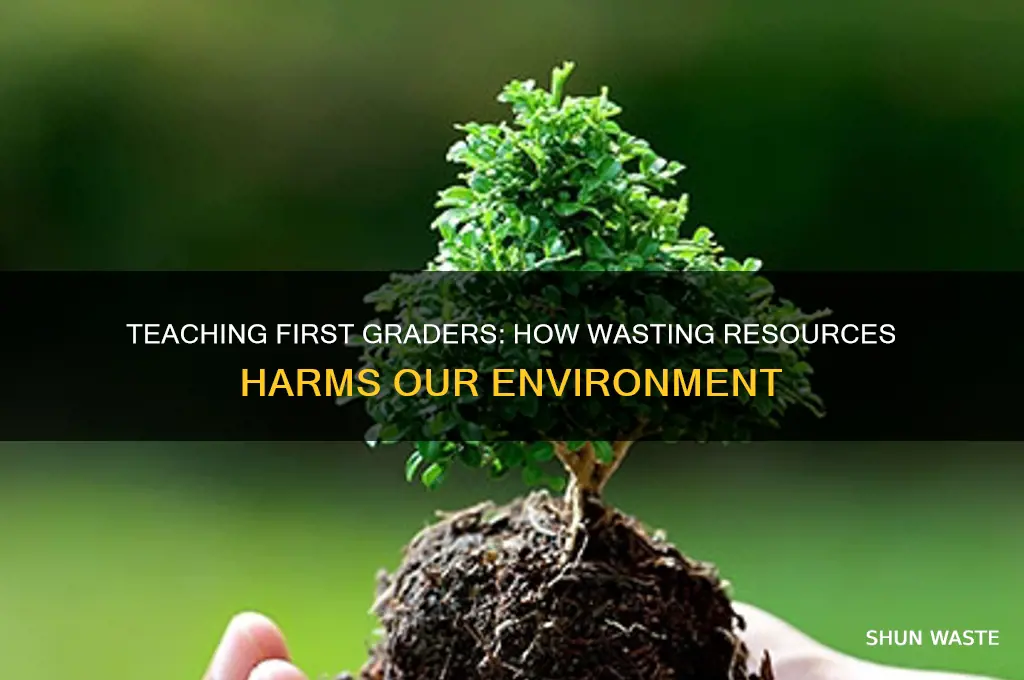 Teaching First Graders: How Wasting Resources Harms Our Environment ...