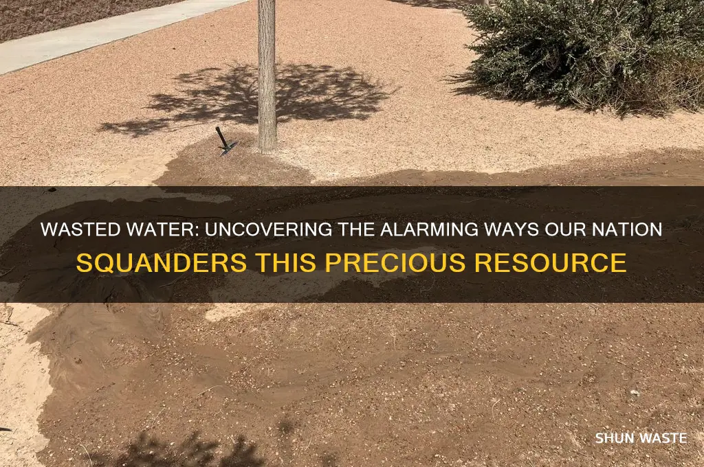 Wasted Water: Uncovering The Alarming Ways Our Nation Squanders This ...