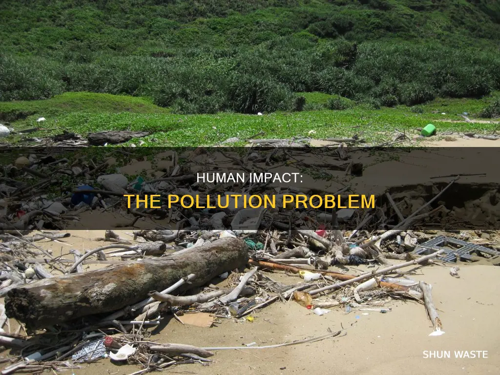 Human Impact: The Pollution Problem | ShunWaste