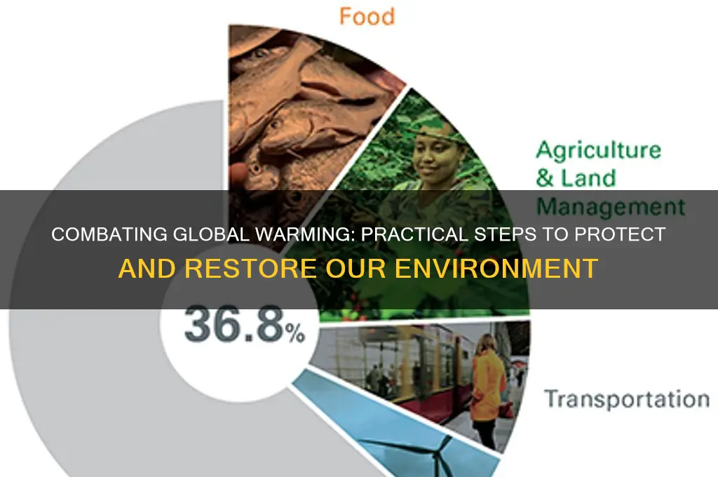 Combating Global Warming: Practical Steps To Protect And Restore Our ...