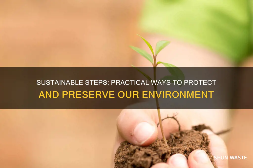 Sustainable Steps: Practical Ways To Protect And Preserve Our ...