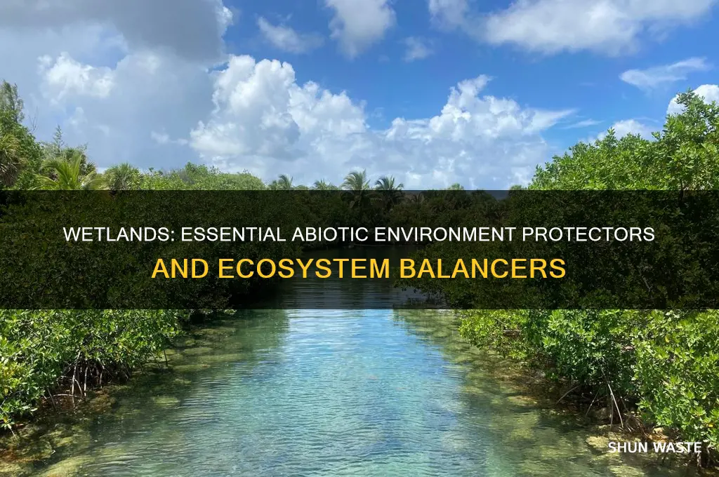 Wetlands: Essential Abiotic Environment Protectors And Ecosystem ...